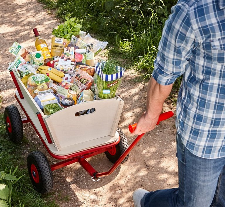 PRO PLANET: PRO PLANET-Label